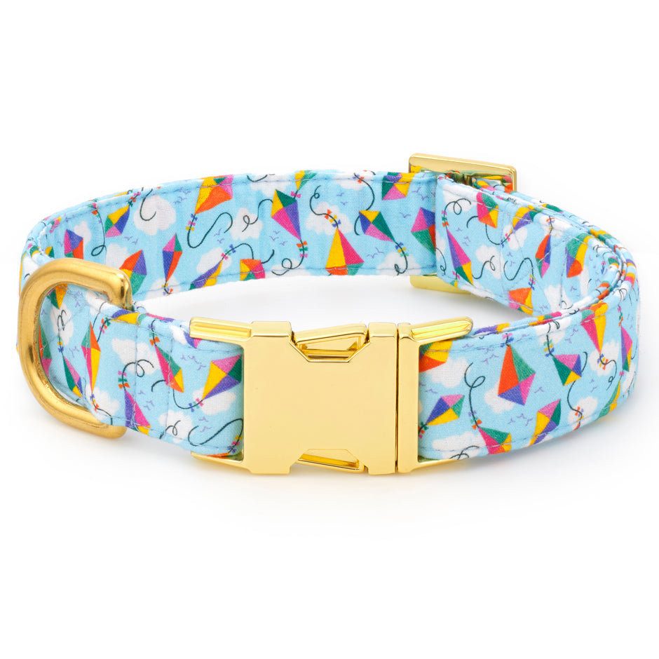 Adjustable Dog Collars | Stylish Pet Accessories | The Foggy Dog