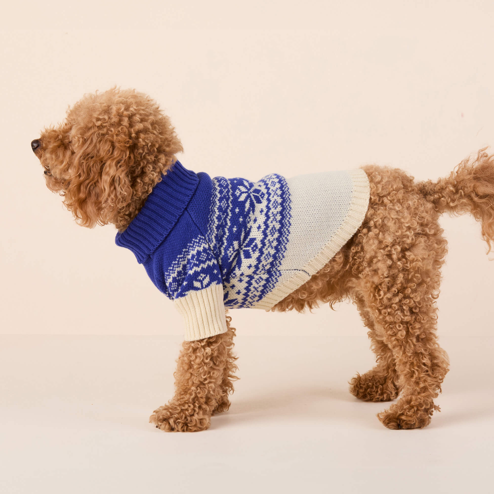 Snow Day Fair Isle Dog Sweater – The Foggy Dog