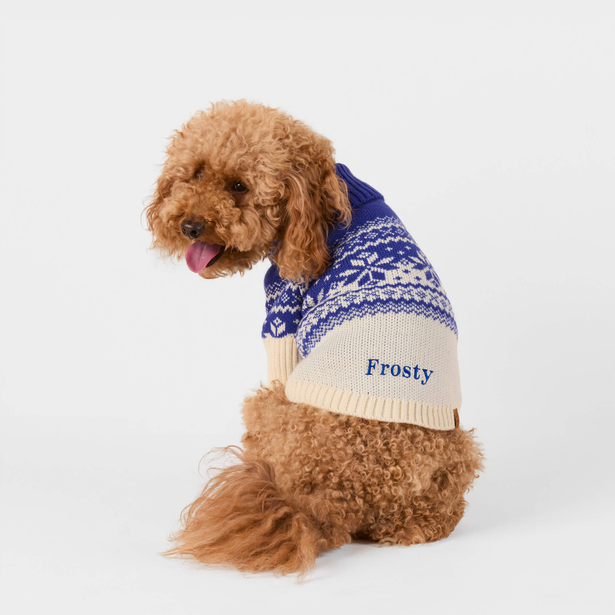 Dog Apparel | Cozy Dog Clothes | The Foggy Dog