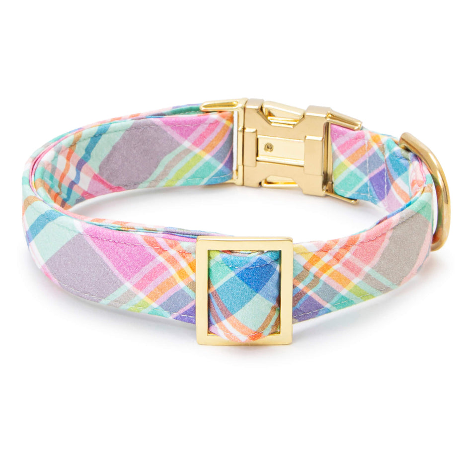 Adjustable Dog Collars | Stylish Pet Accessories | The Foggy Dog