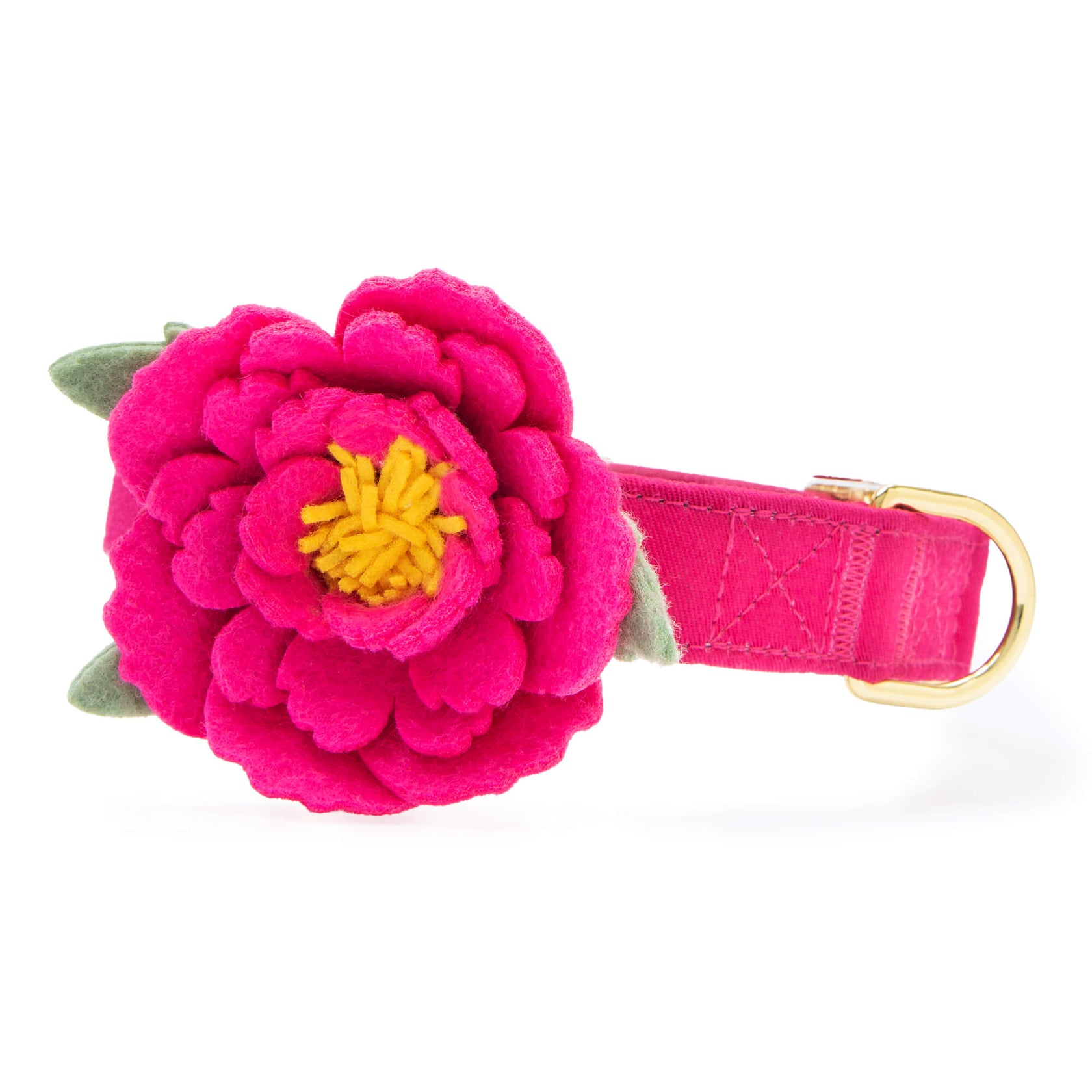 Hot Pink Peony Dog Collar Flower Set – The Foggy Dog