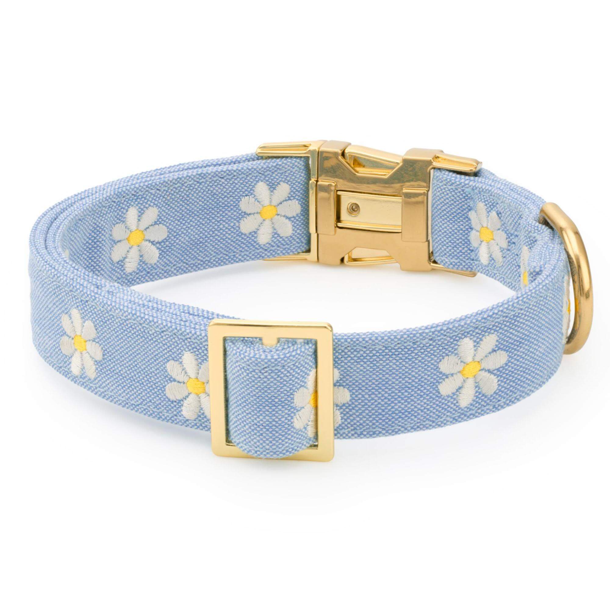 Daisy Embroidered Dog Collar – The Foggy Dog