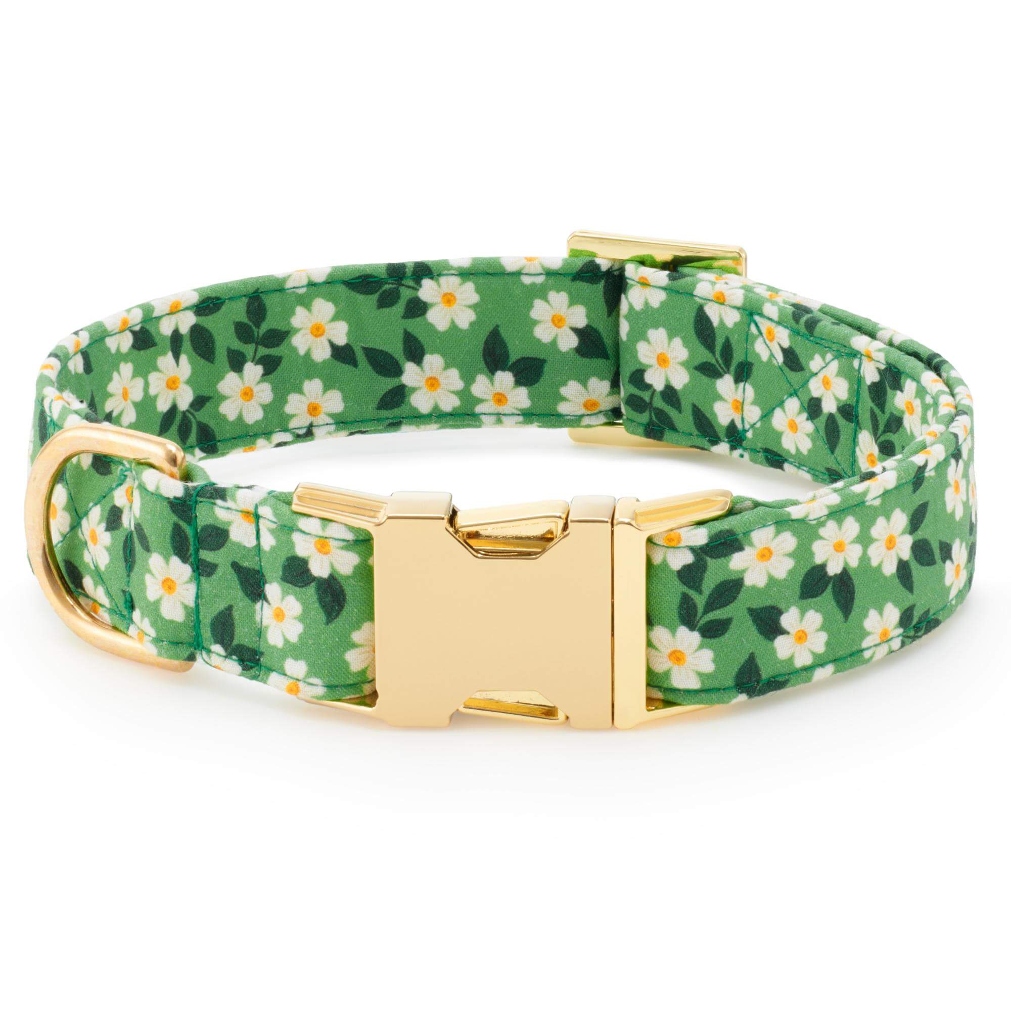 Dainty Daisies Dog Collar – The Foggy Dog