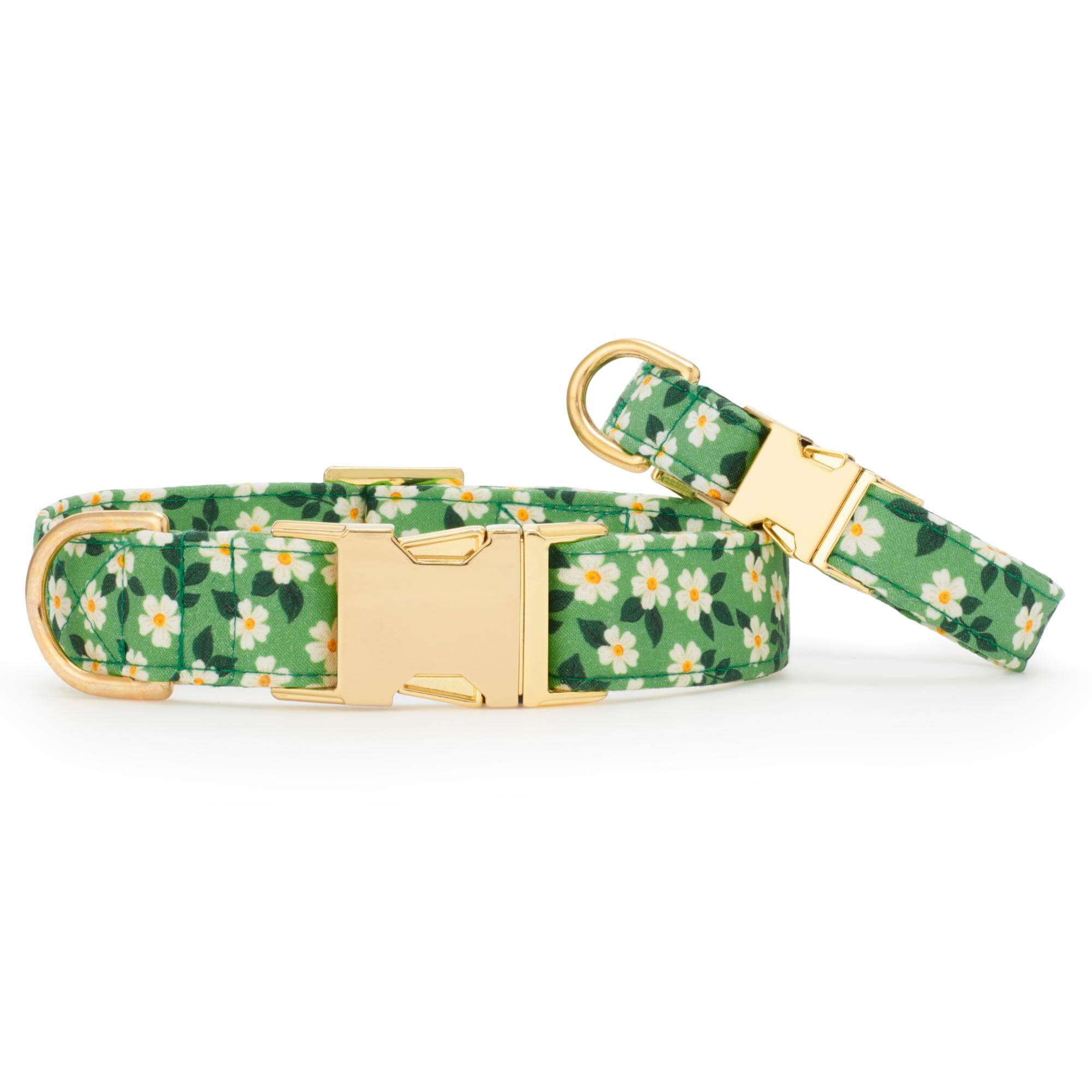 Dainty Daisies Dog Collar – The Foggy Dog