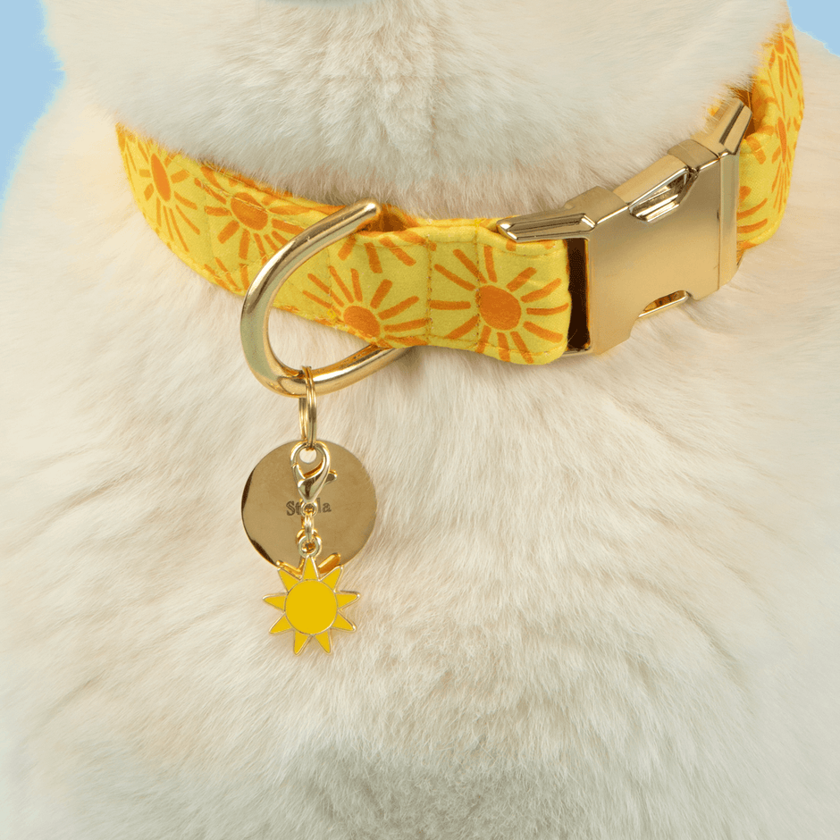 Adjustable Dog Collars | Stylish Pet Accessories | The Foggy Dog