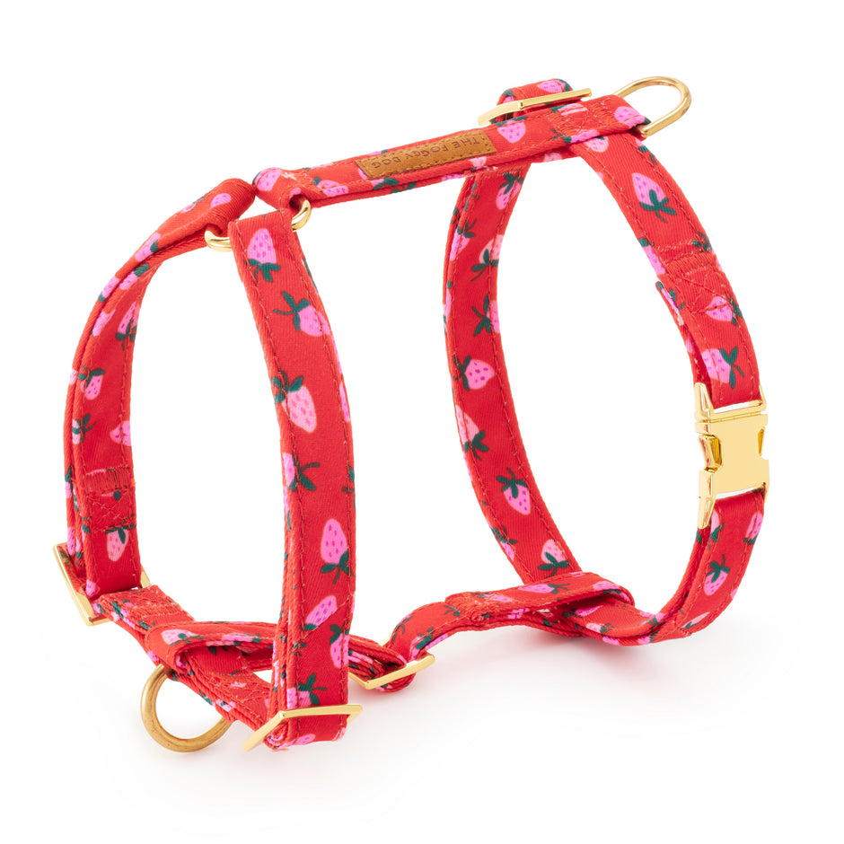 Harnesses – The Foggy Dog