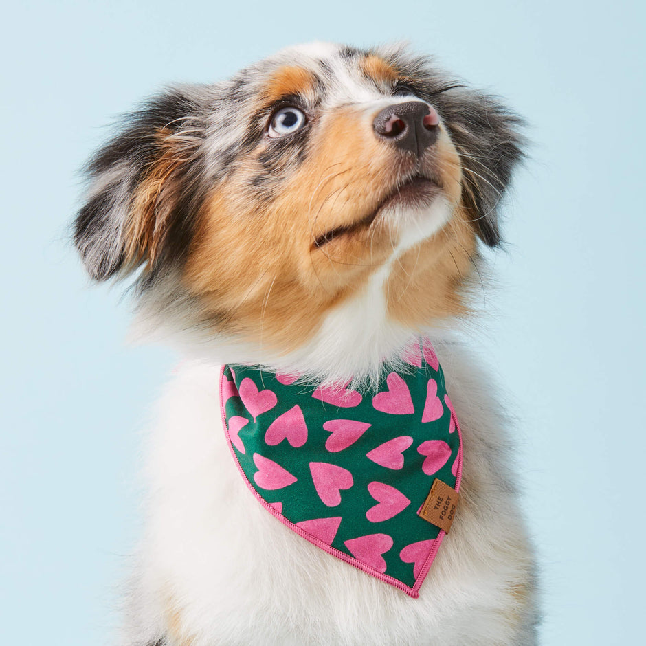 Classic Tie-On Dog Bandanas | Stylish Accessories for Every Pup | The ...
