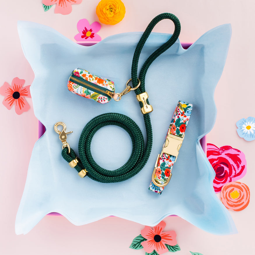 Rifle Paper Co. x TFD Garden Party Dog Collar – The Foggy Dog