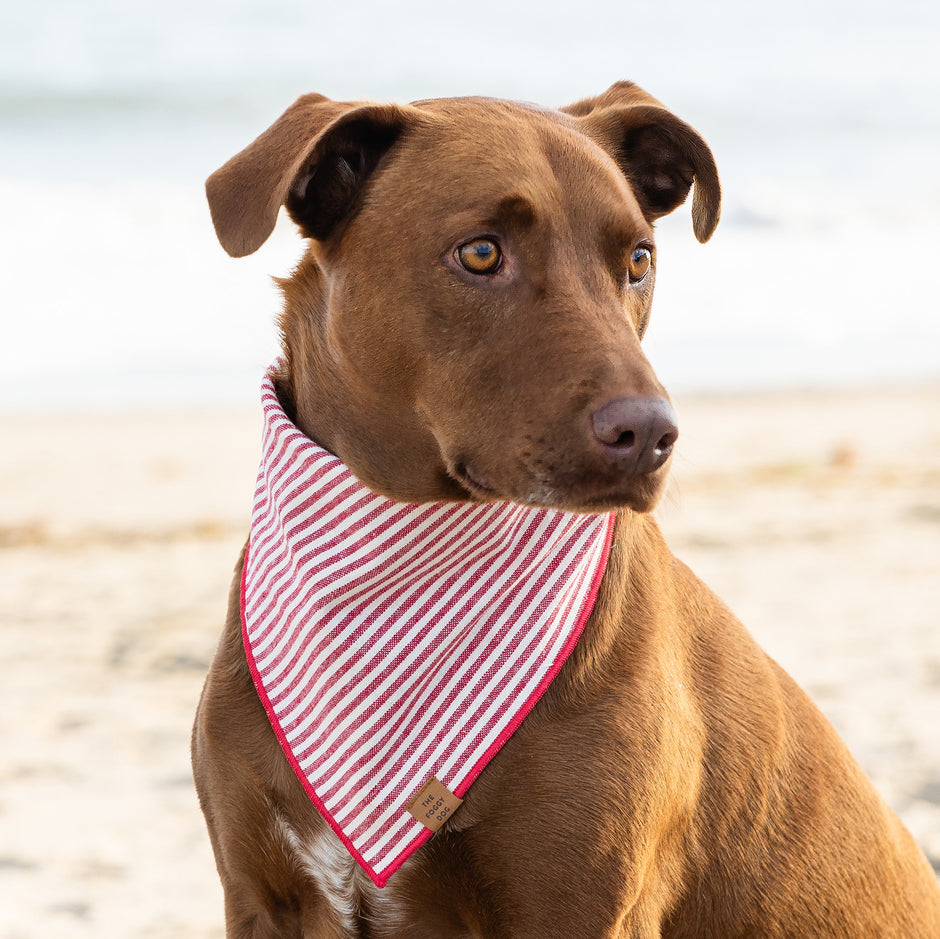 Classic Tie-On Dog Bandanas | Stylish Accessories for Every Pup | The ...