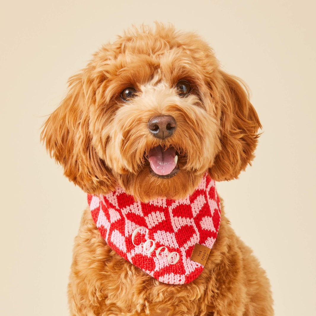 Classic Tie-On Dog Bandanas | Stylish Accessories for Every Pup | The ...
