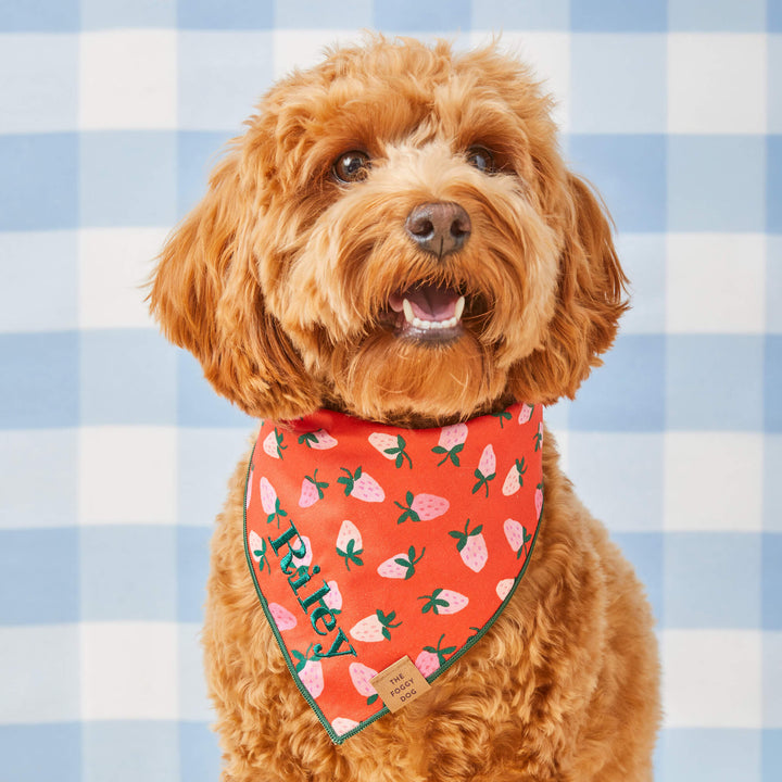Classic Tie-On Dog Bandanas | Stylish Accessories for Every Pup | The ...
