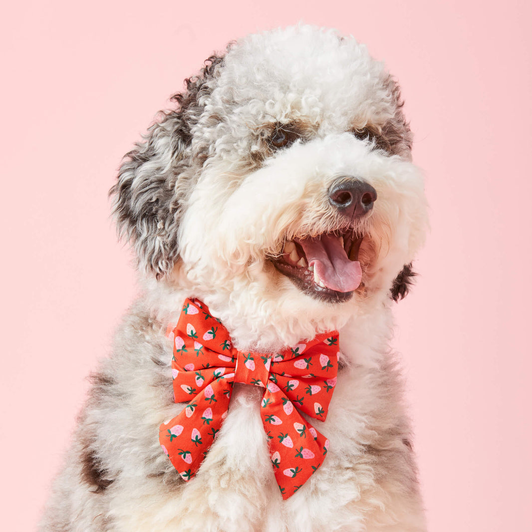 Berry Sweet Print – The Foggy Dog