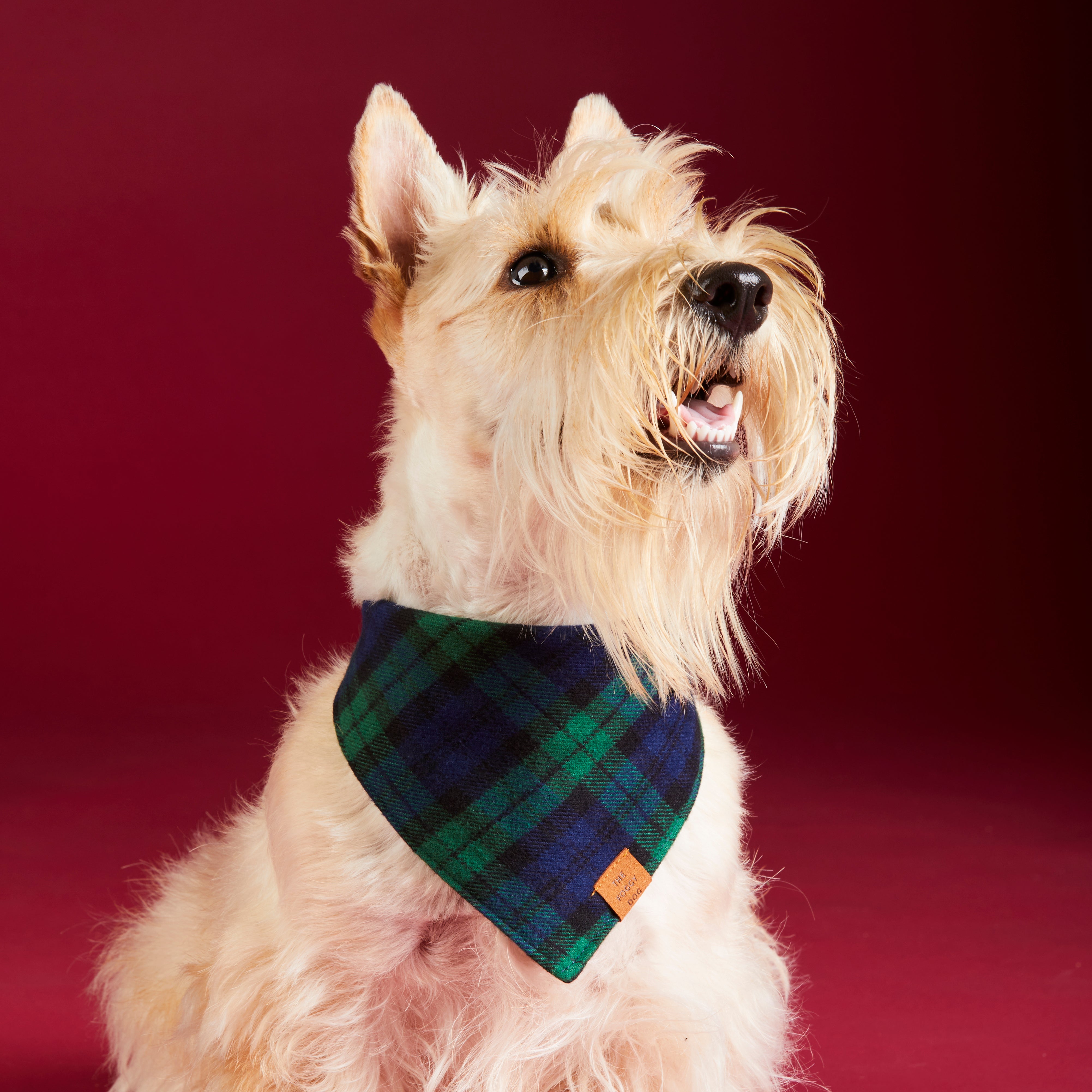 Classic Tie-On Dog Bandanas | Stylish Accessories for Every Pup | The ...