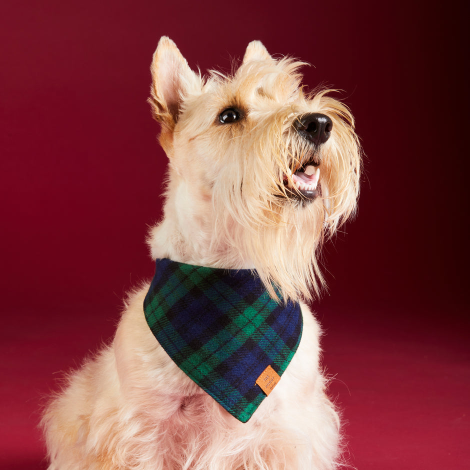 Classic Tie-On Dog Bandanas | Stylish Accessories for Every Pup | The ...