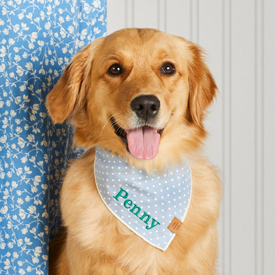 Classic Tie-On Dog Bandanas | Stylish Accessories for Every Pup | The ...