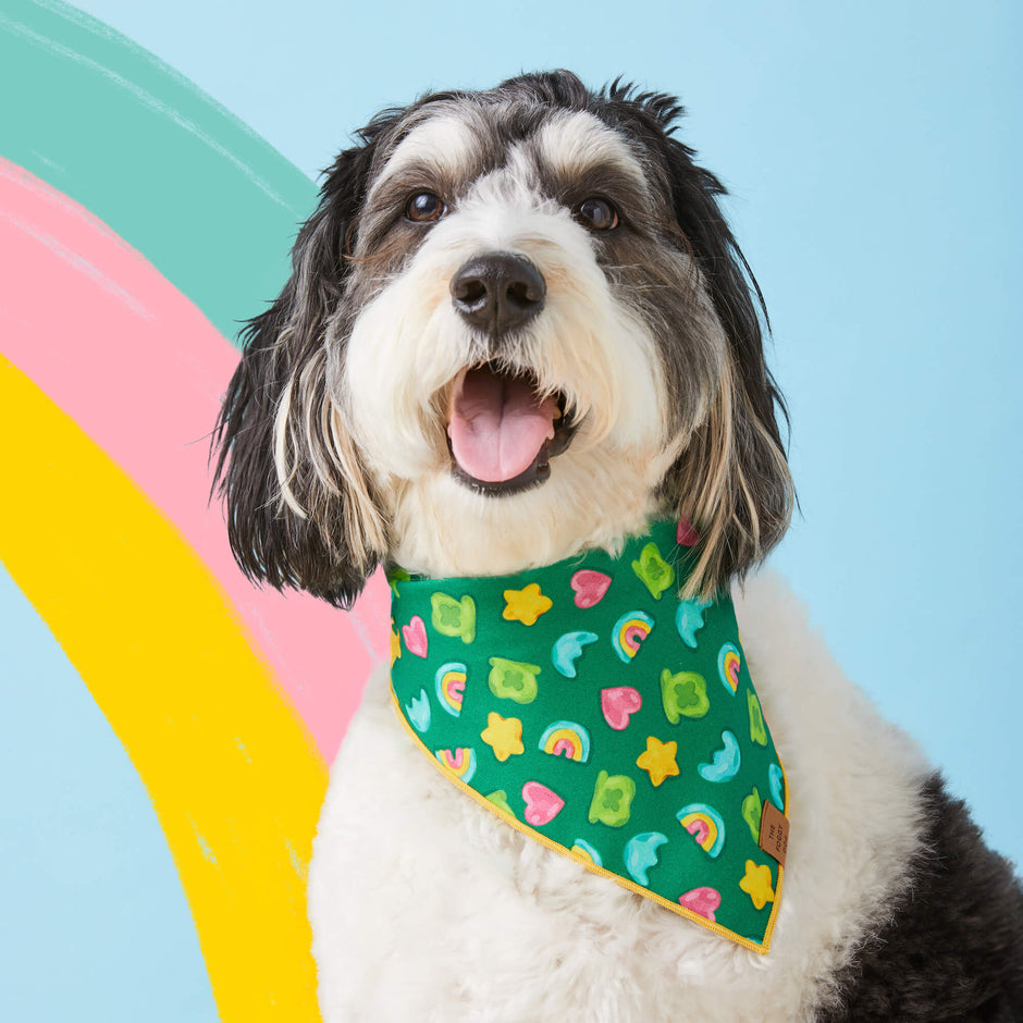 Classic Tie-On Dog Bandanas | Stylish Accessories for Every Pup | The ...
