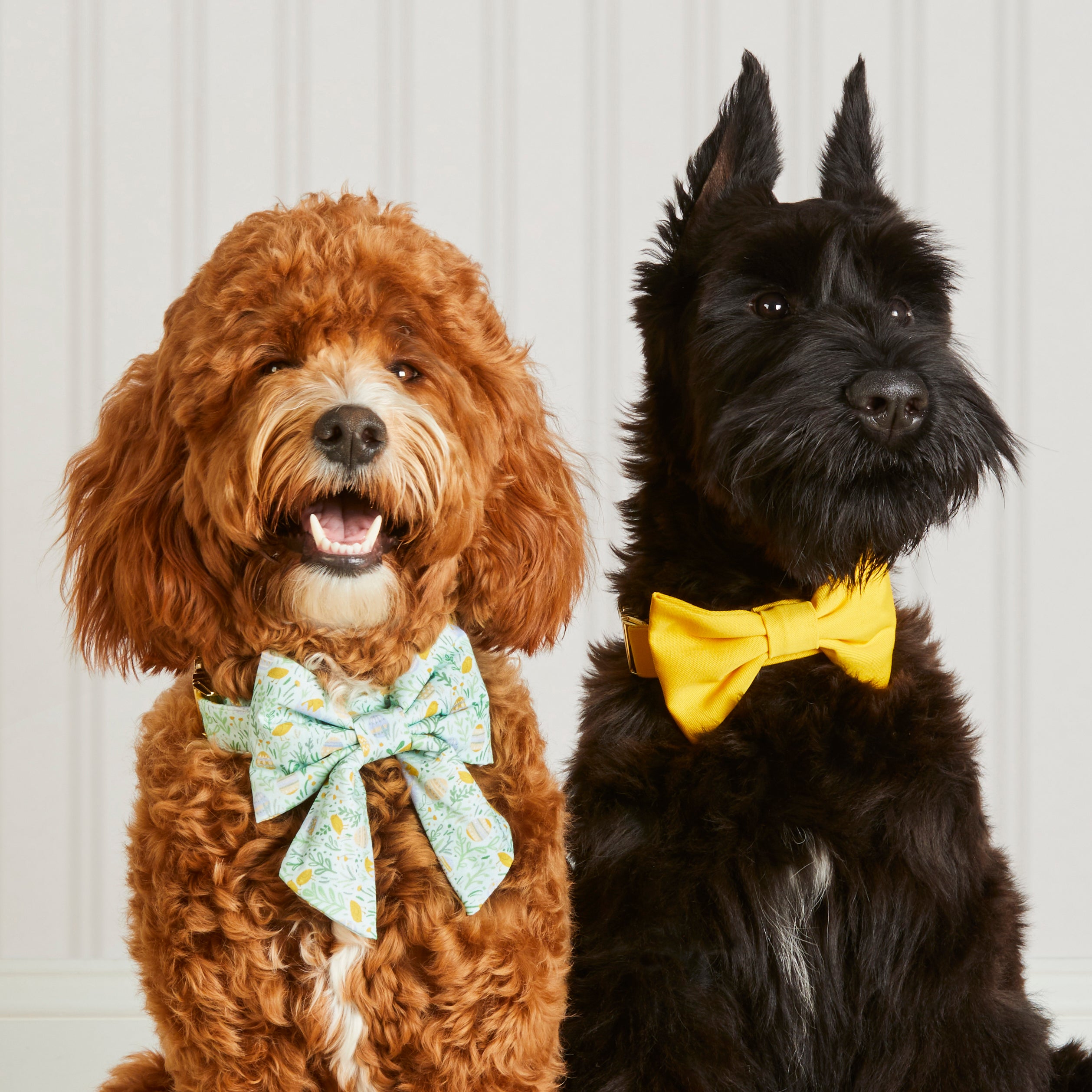 Dog Wear – Page 9 – The Foggy Dog