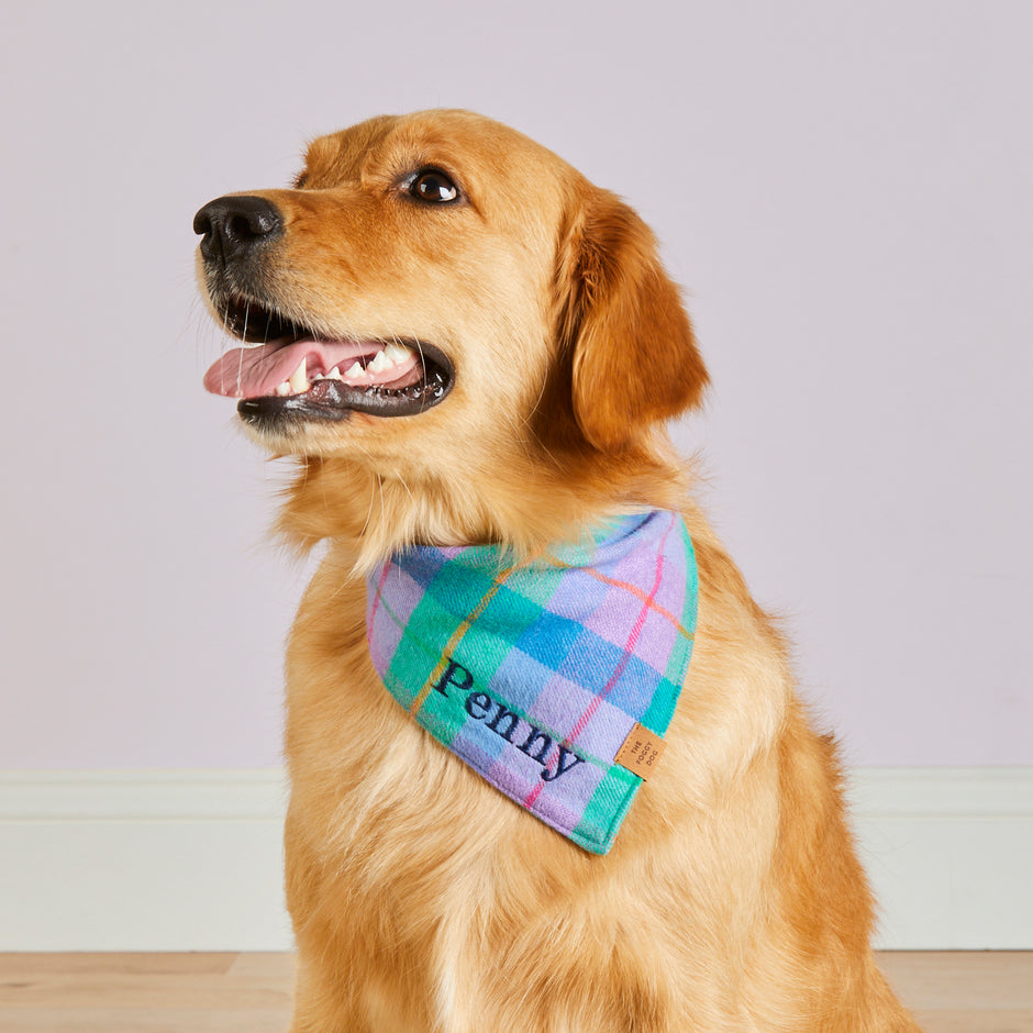 Classic Tie-On Dog Bandanas | Stylish Accessories for Every Pup | The ...