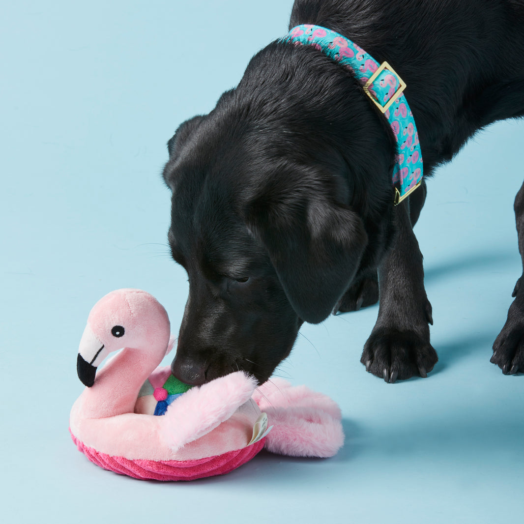 Dog Toys | Interactive & Eco-Friendly Pet Toys | The Foggy Dog