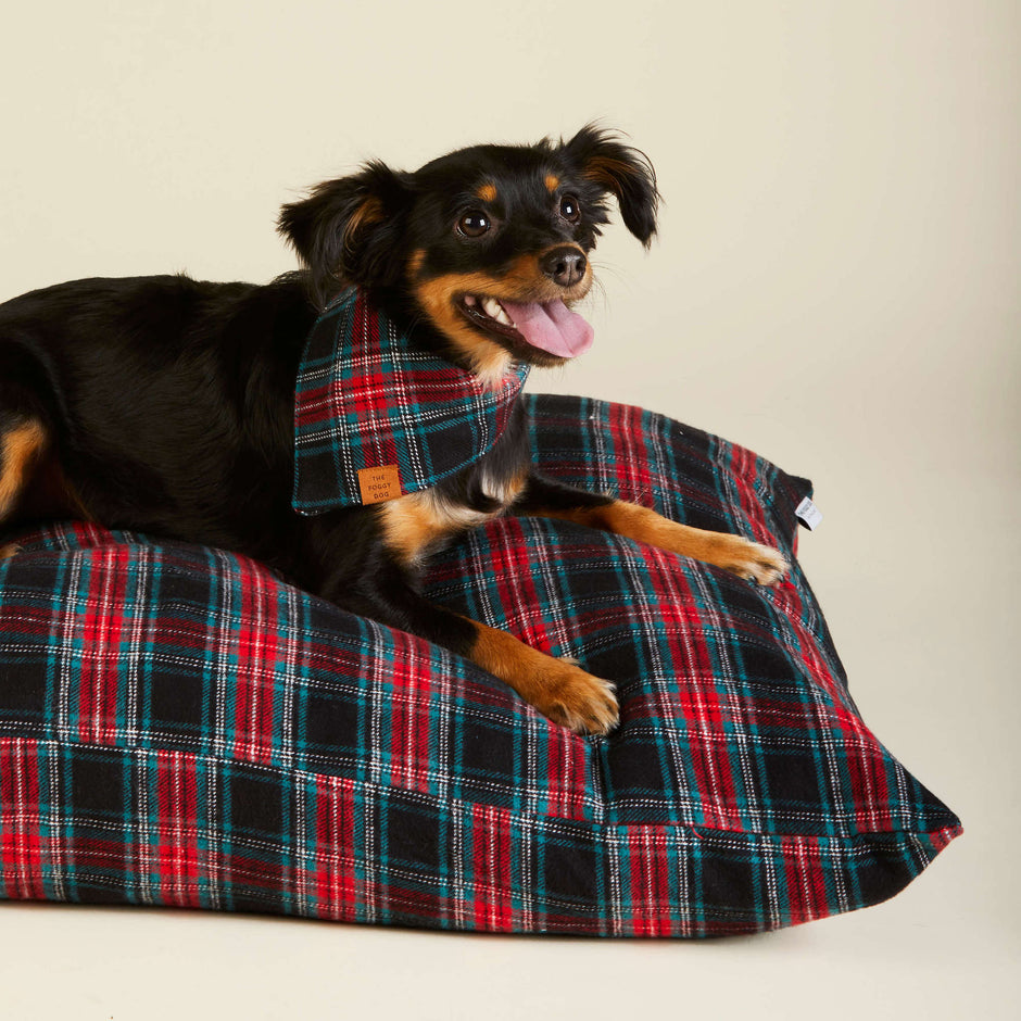 Pet Beds – The Foggy Dog