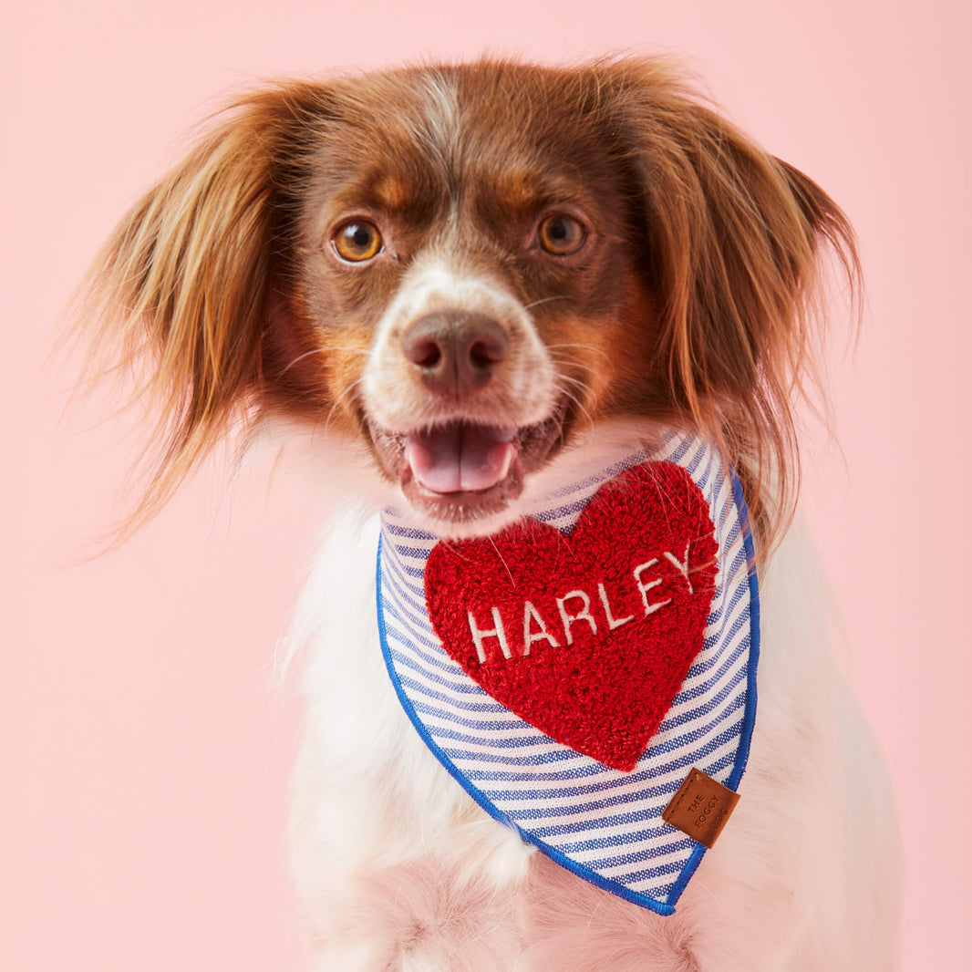 Classic Tie-On Dog Bandanas | Stylish Accessories for Every Pup | The ...