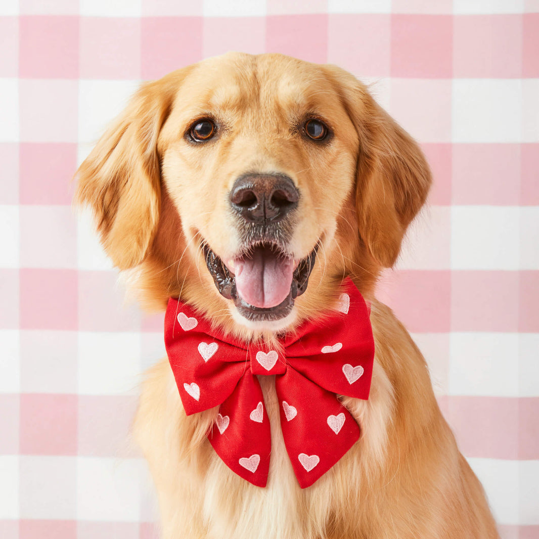 Lady Dog Bows | Elegant Dog Accessories | The Foggy Dog