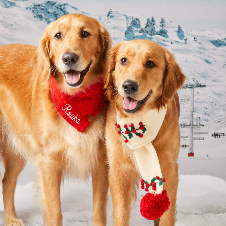 Dog Scarves – The Foggy Dog