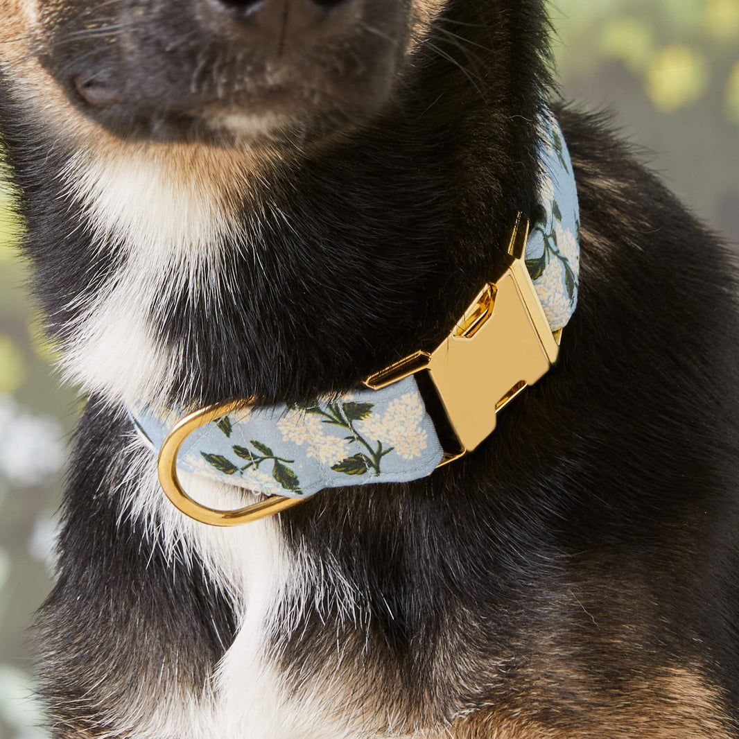 Rifle Paper Co. x TFD Hydrangea Dog Bandana – The Foggy Dog