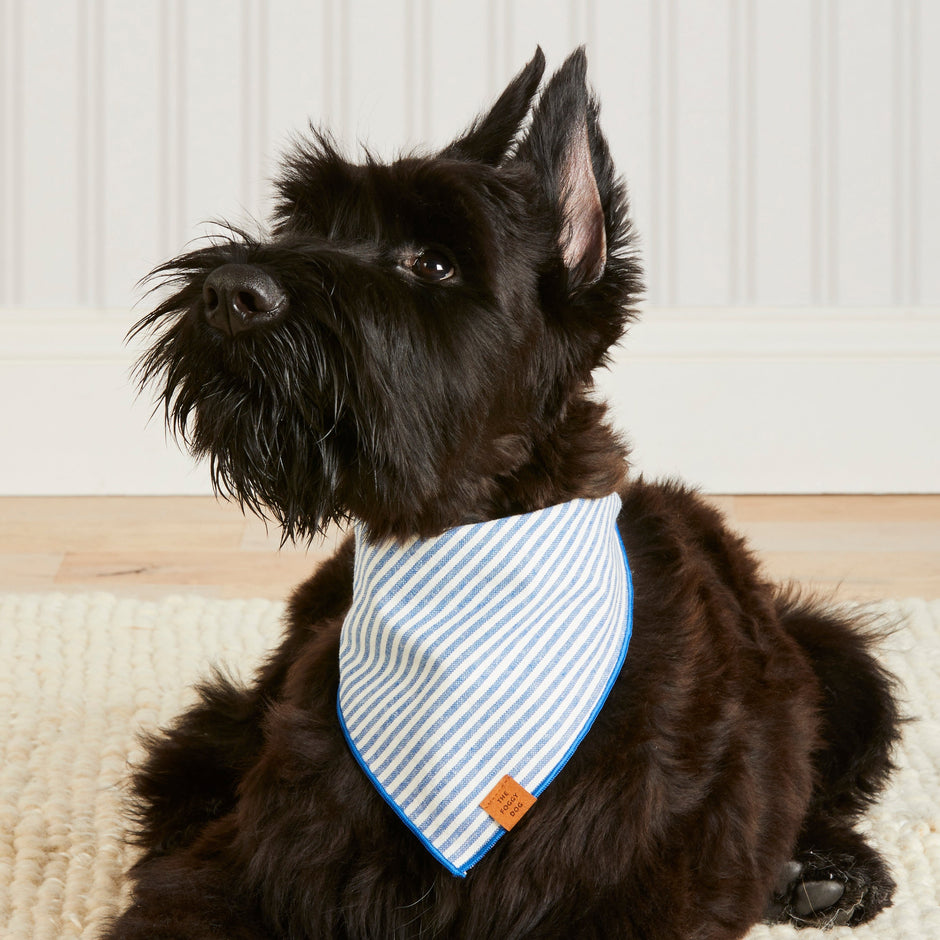 Classic Tie-On Dog Bandanas | Stylish Accessories for Every Pup | The ...
