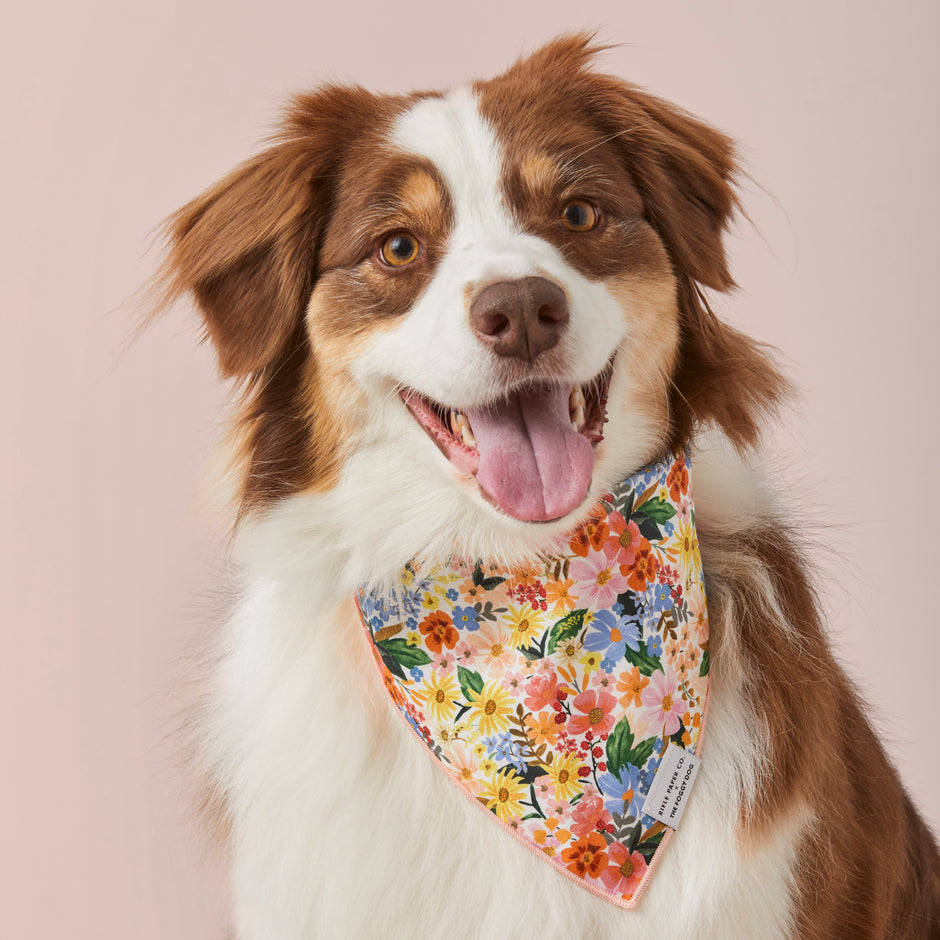 Classic Tie-On Dog Bandanas | Stylish Accessories for Every Pup | The ...