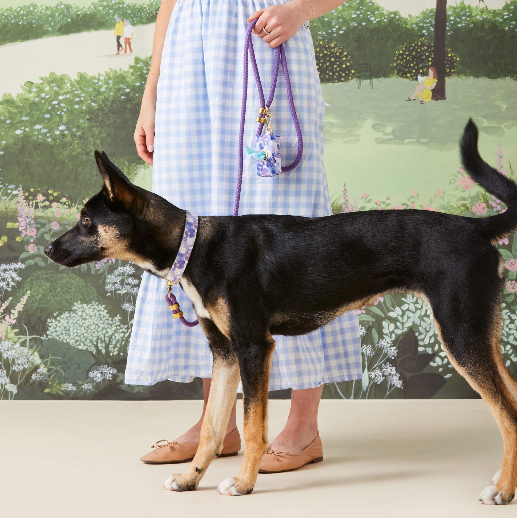 Pressed Pansies Collar Walk Set – The Foggy Dog