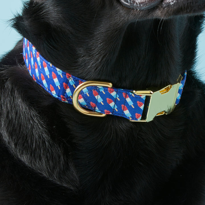 Adjustable Dog Collars | Stylish Pet Accessories | The Foggy Dog