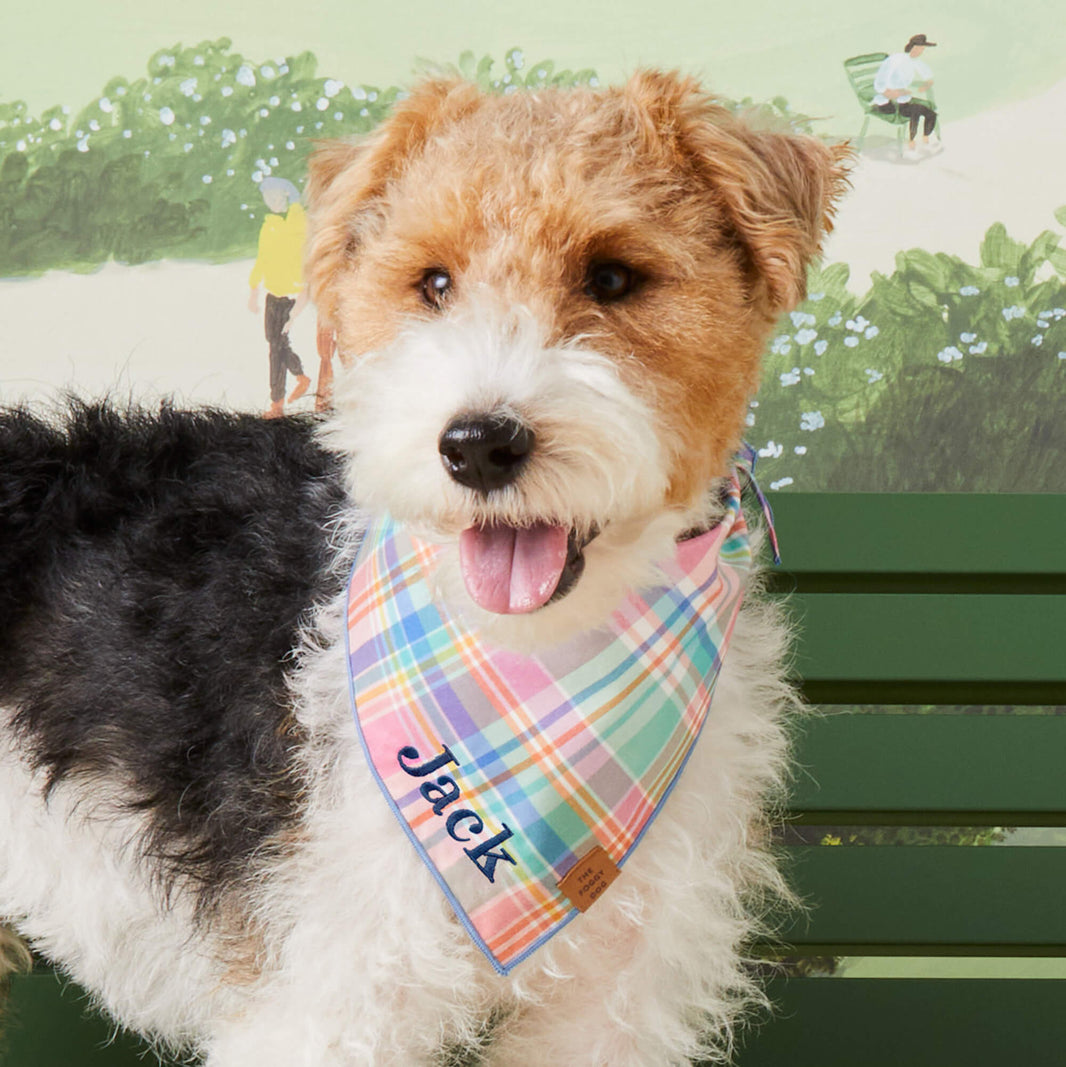 Classic Tie-On Dog Bandanas | Stylish Accessories for Every Pup | The ...