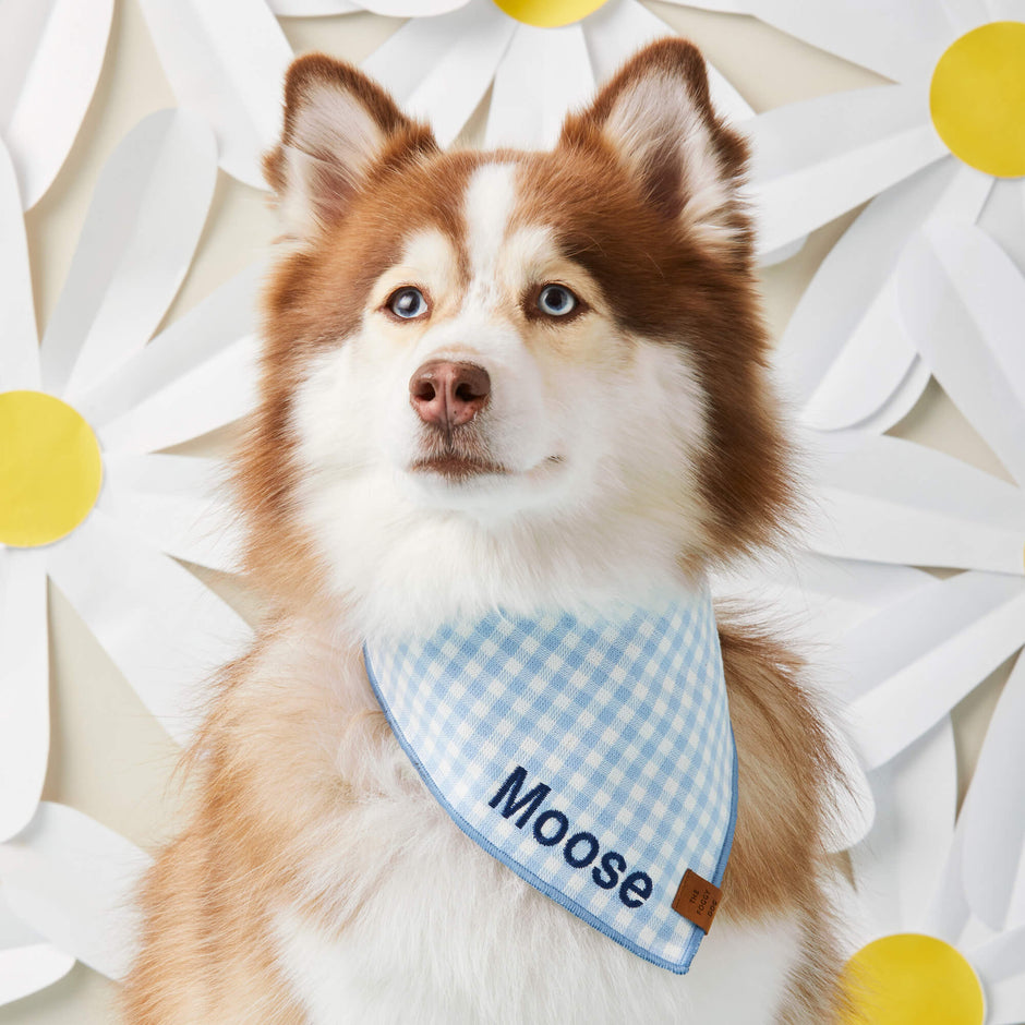 Classic Tie-On Dog Bandanas | Stylish Accessories for Every Pup | The ...