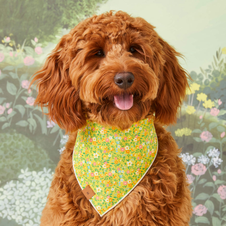 Classic Tie-On Dog Bandanas | Stylish Accessories for Every Pup | The ...