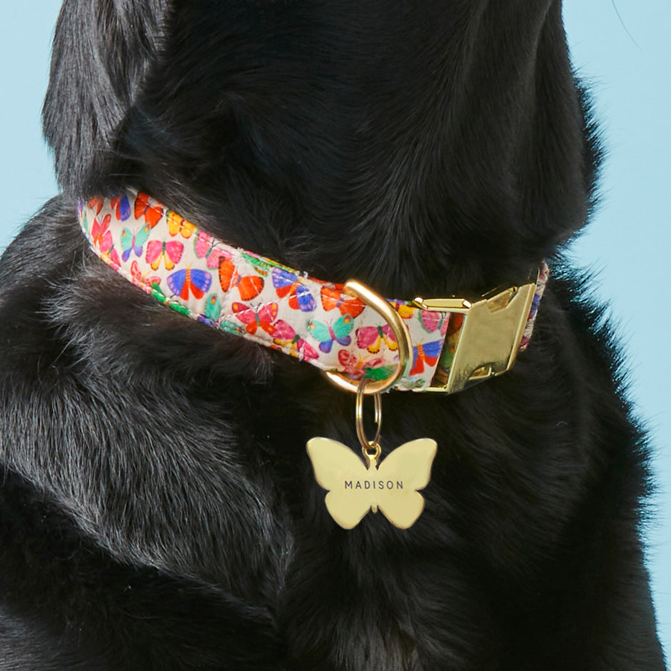 Butterfly Collar Charm – The Foggy Dog
