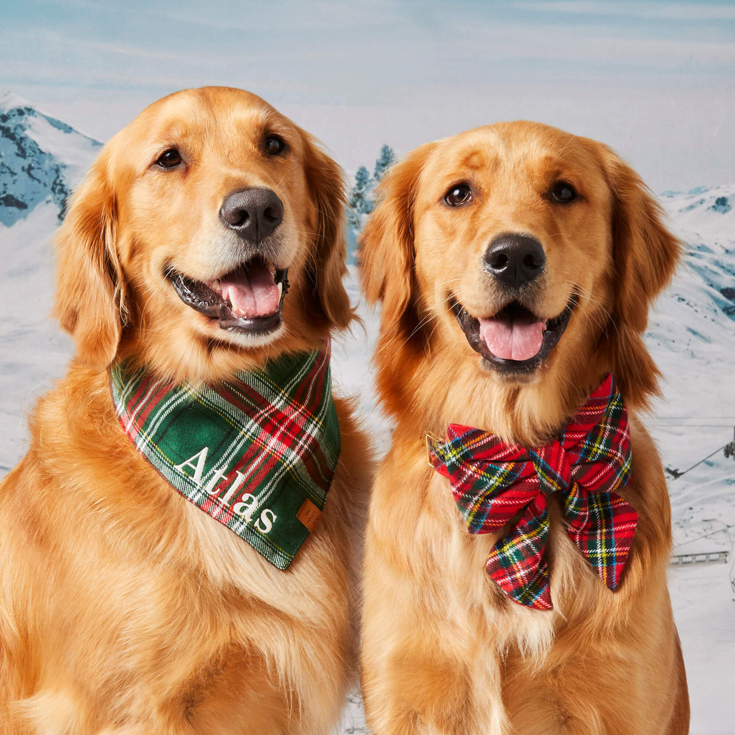 Classic Tie-On Dog Bandanas | Stylish Accessories for Every Pup | The ...