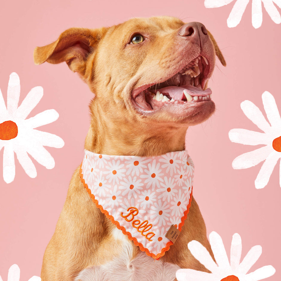 Classic Tie-On Dog Bandanas | Stylish Accessories for Every Pup | The ...
