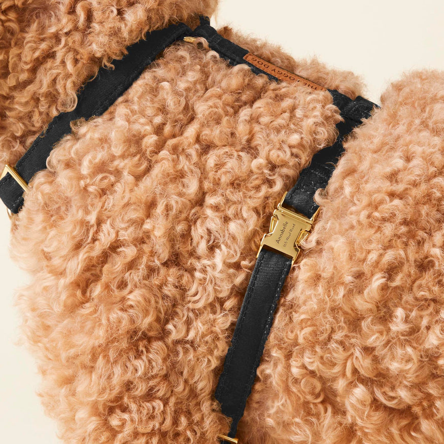 Onyx Dog Harness – The Foggy Dog