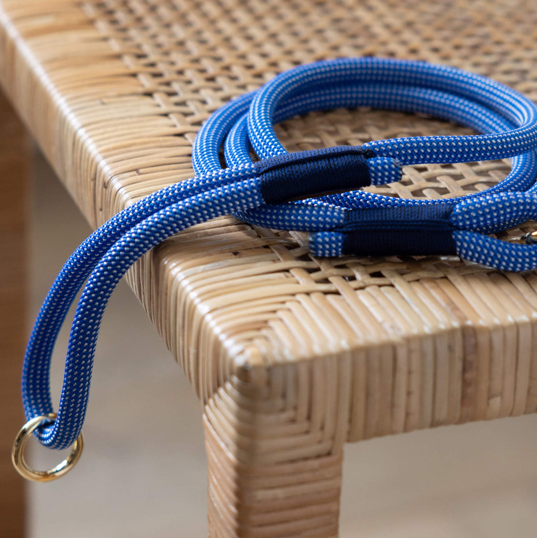 Lagoon Climbing Rope Dog Leash – The Foggy Dog