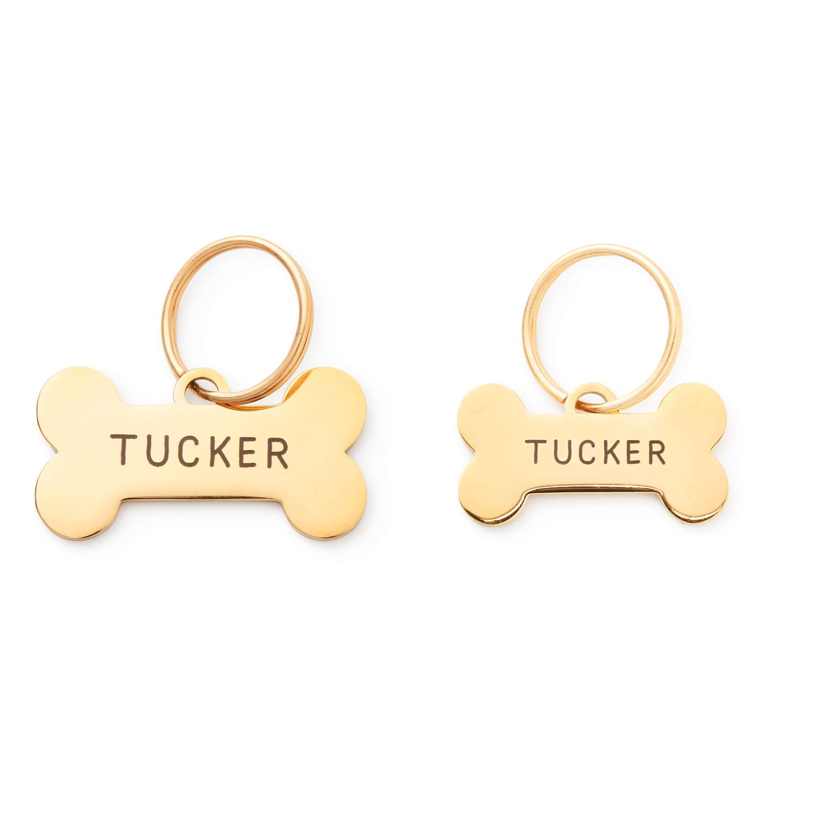 Bone Pet ID Tag – The Foggy Dog