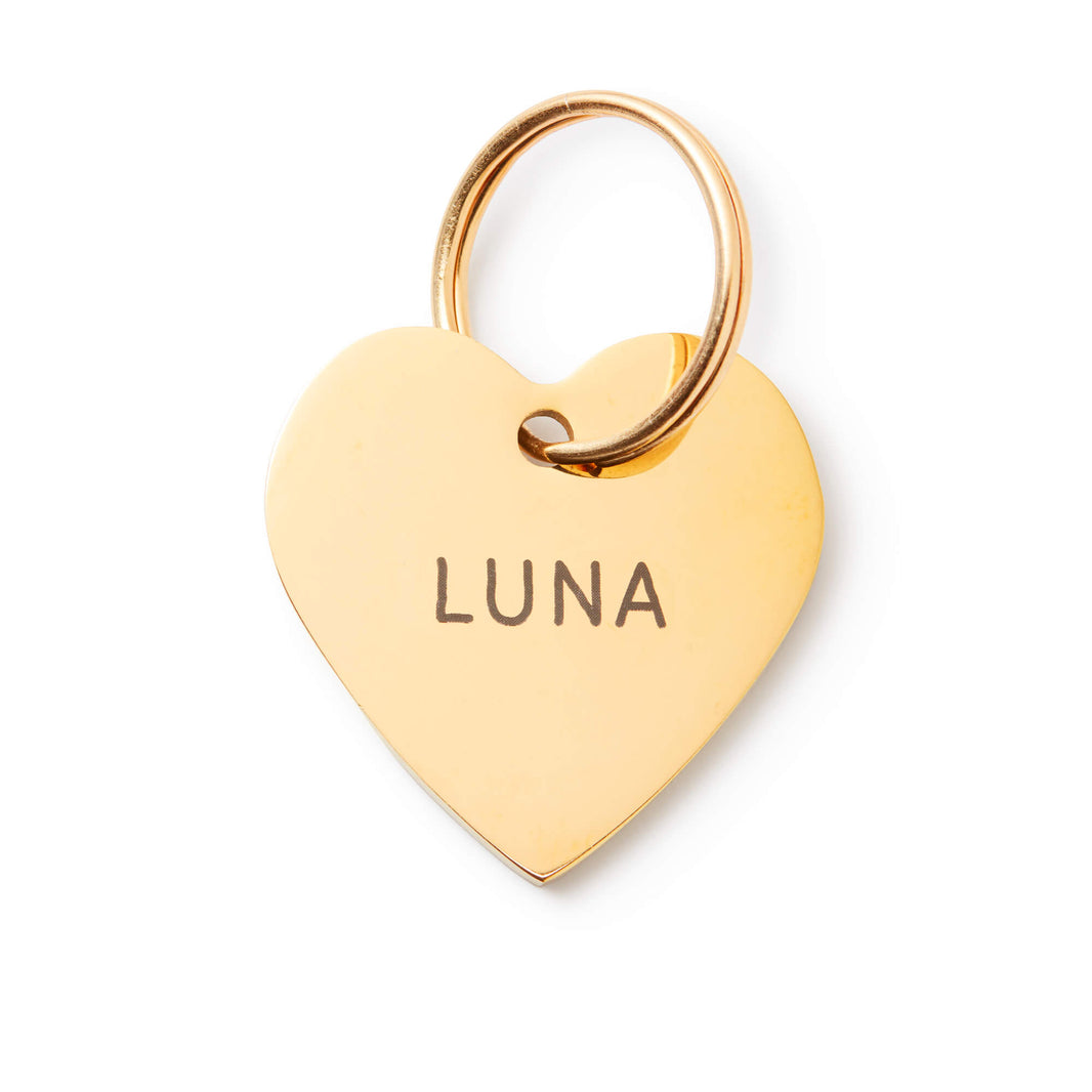 Pet ID Tags | Stylish and Safe Identification for Pets | The Foggy Dog