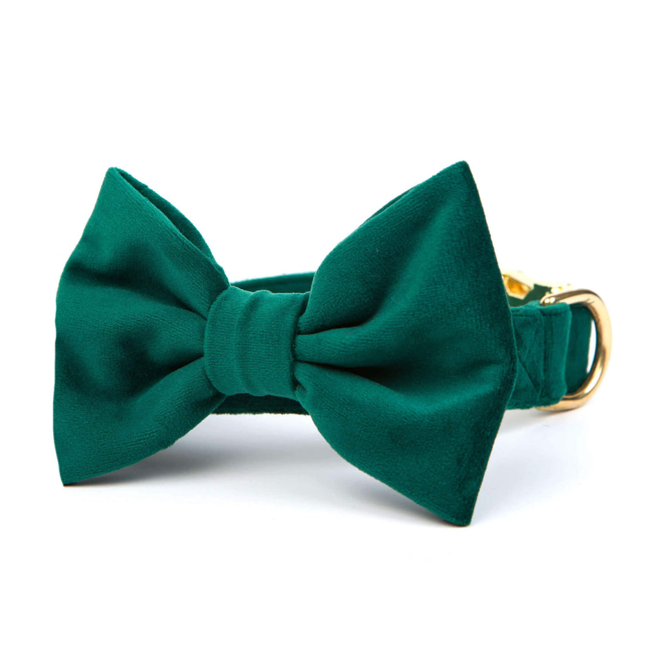 Dog Bow Tie Collars – The Foggy Dog