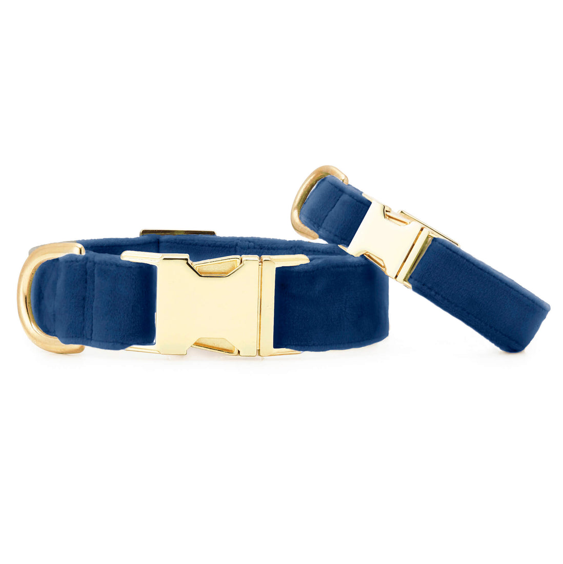 Navy Velvet Dog Collar – The Foggy Dog