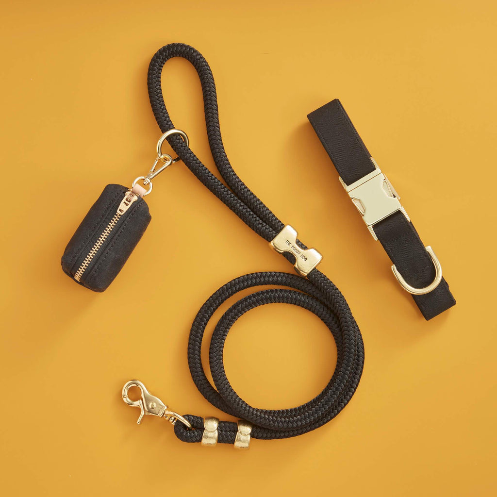 Onyx Collar Walk Set – The Foggy Dog